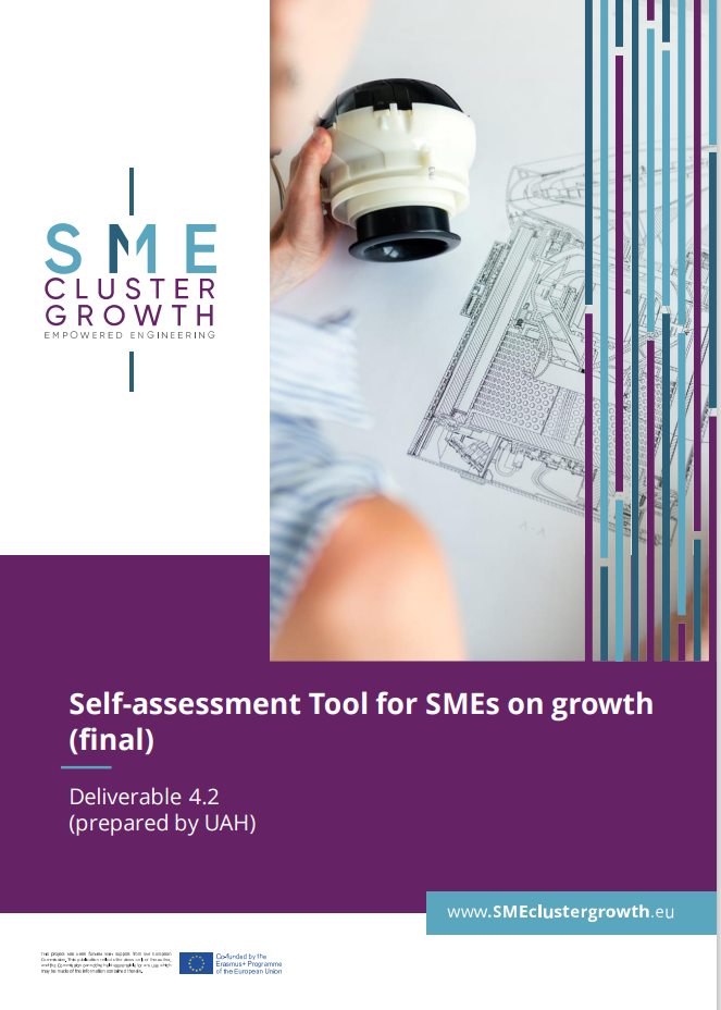 New Online Self-Assessment Tool for SMEs Launched - SME Cluster Growth